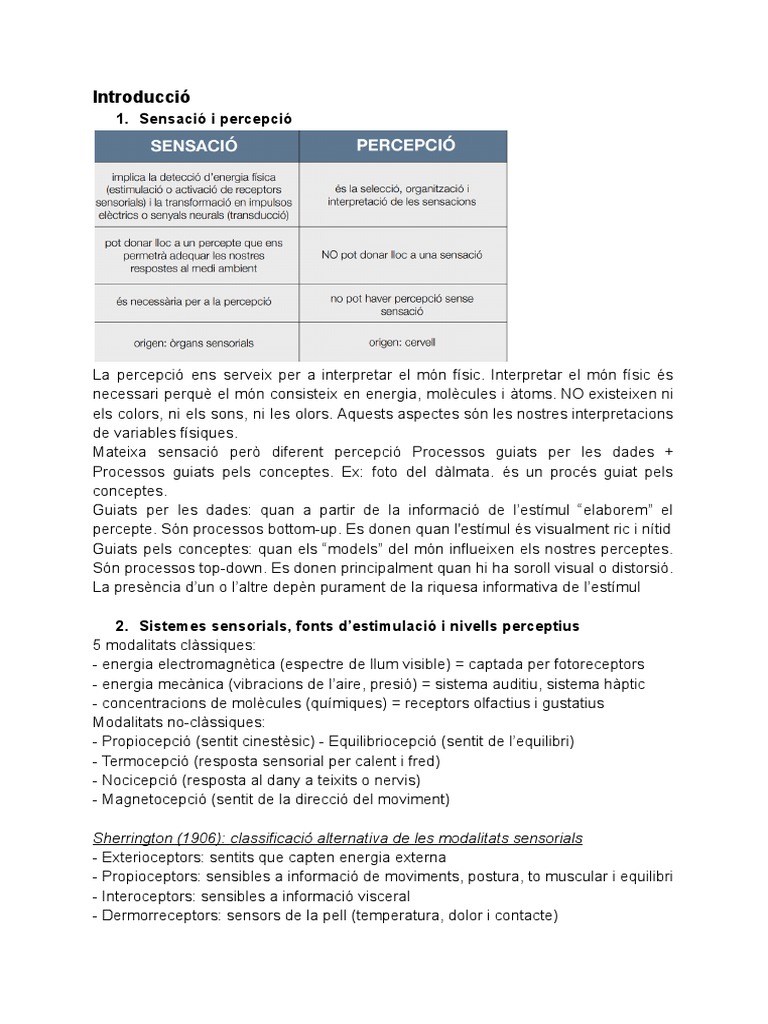 Percepcio I Atenció | PDF