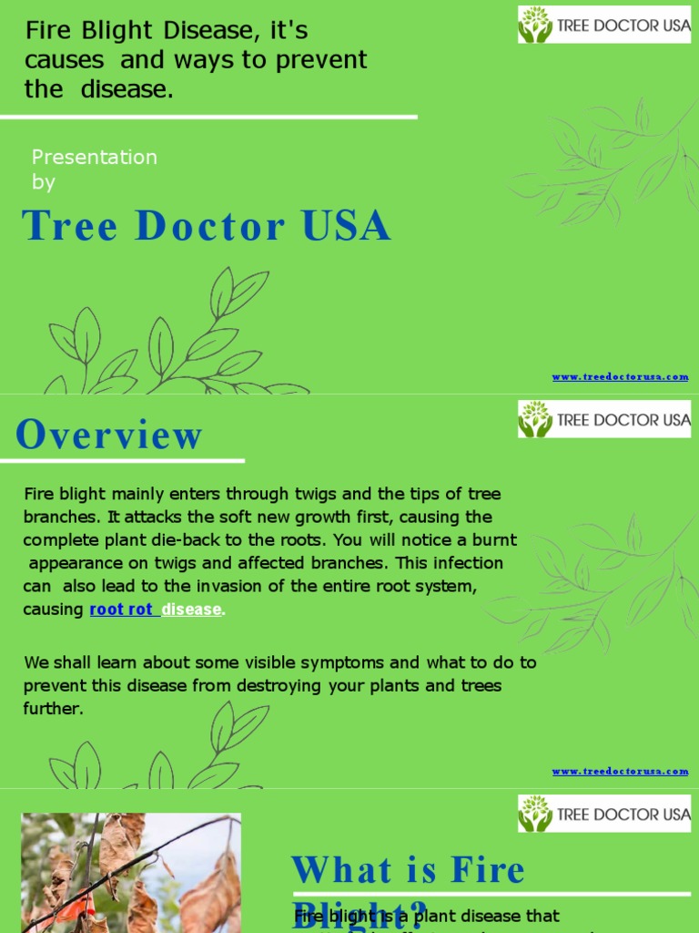 Fire Blight Know What's Causing It and How To Stop It | PDF | Organisms ...