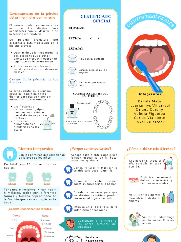 Dientes Temporales | PDF | Odontología | Diente