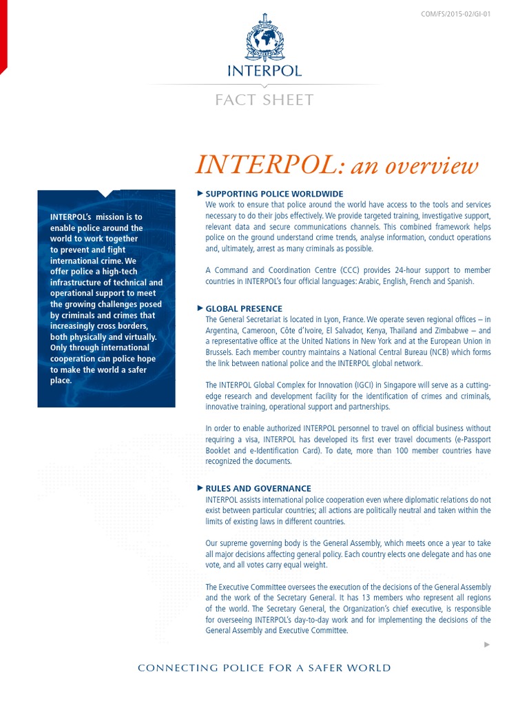 2 Interpol - An Overview | PDF