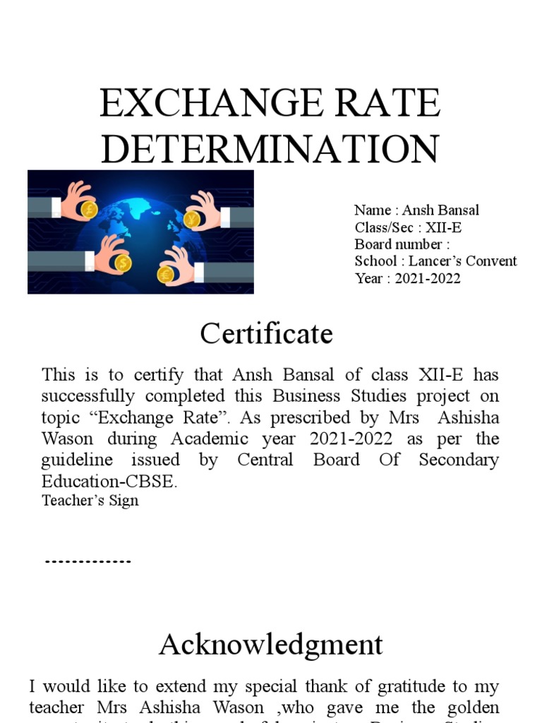 Economics Project | PDF | Exchange Rate | Floating Exchange Rate