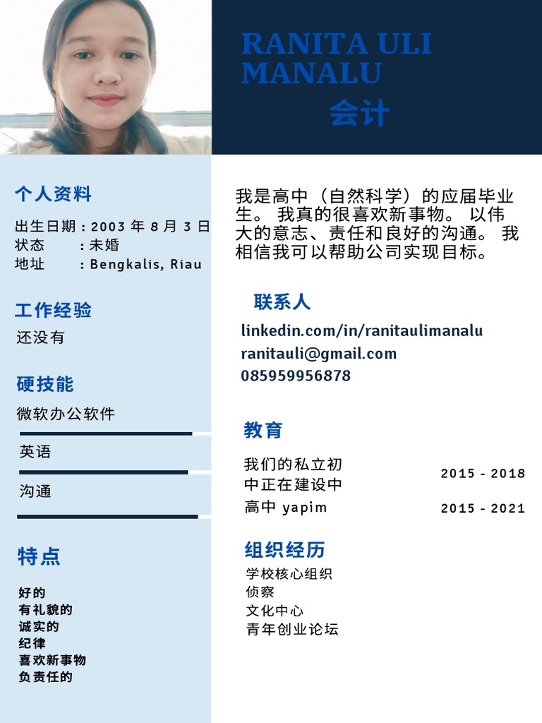 Blue White Color Blocks Software Engineer CV | PDF
