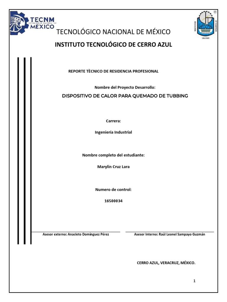 Informe de Residencia Profesional | PDF | Calidad (comercial) | Inventario