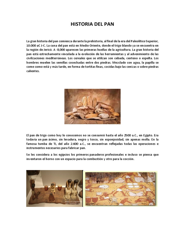 Historia Del Pan | Descargar gratis PDF | Panes | Cereales