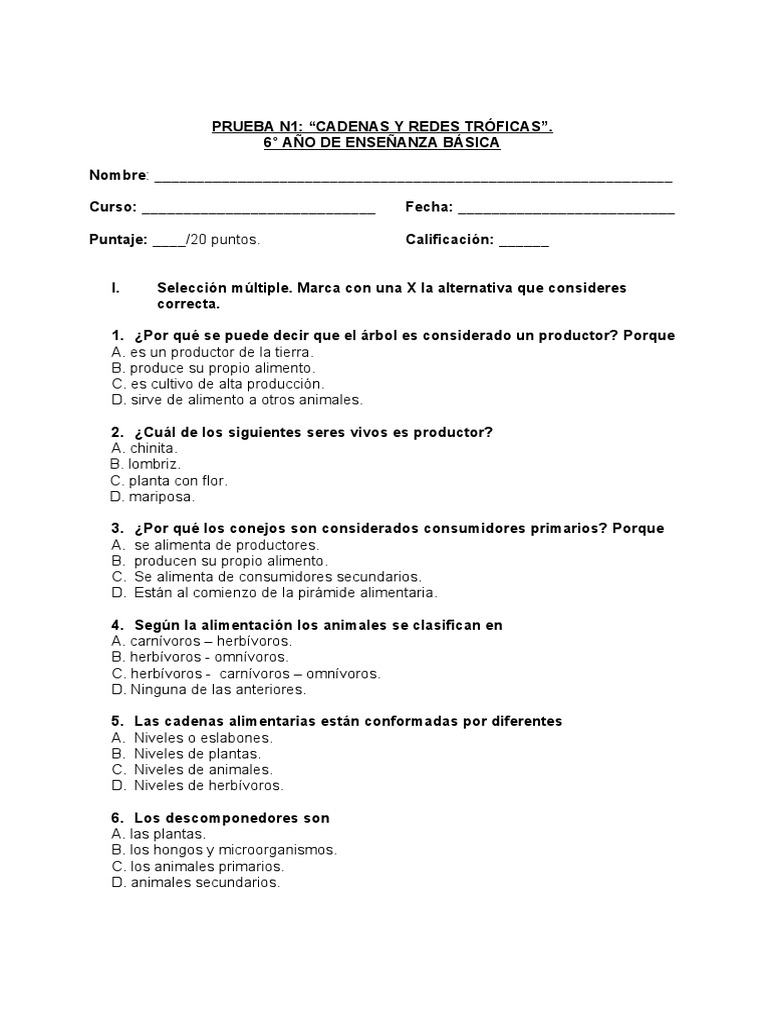 Prueba 1 Cadenas y Redes Troficas | PDF | Red alimentaria | Ciencias de ...