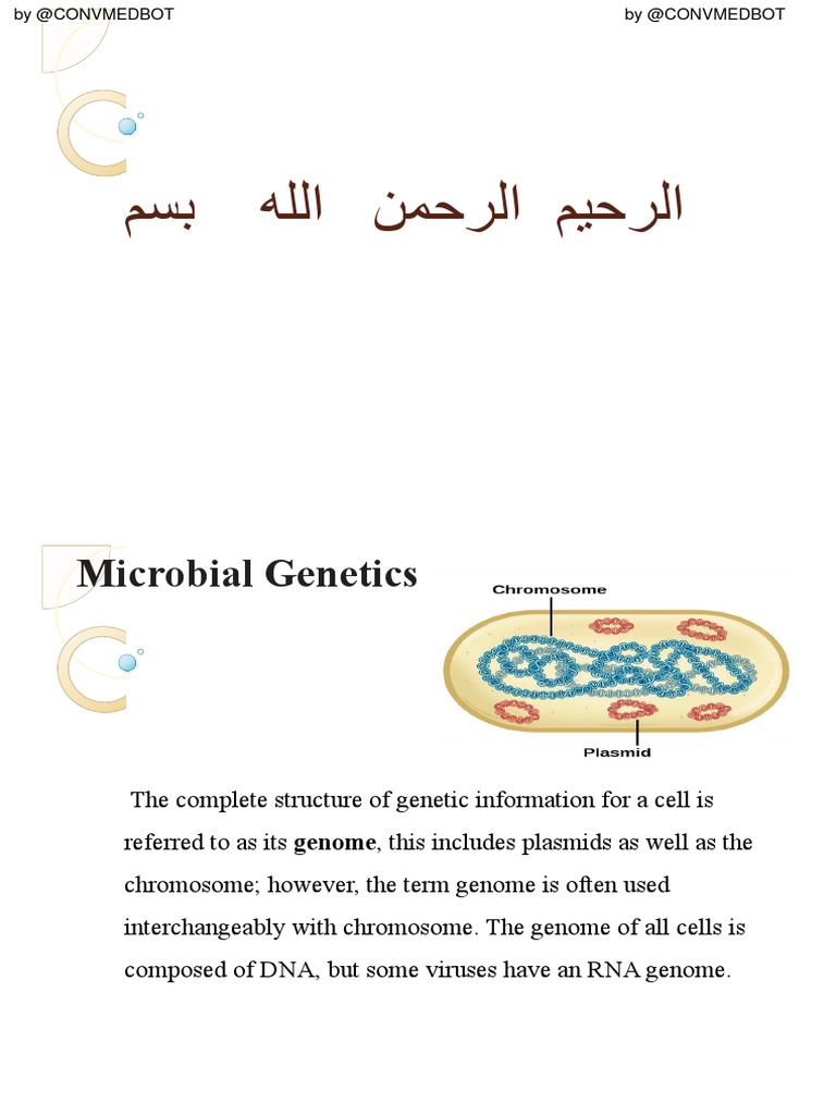 Microbial Genetics | PDF | Rna | Dna