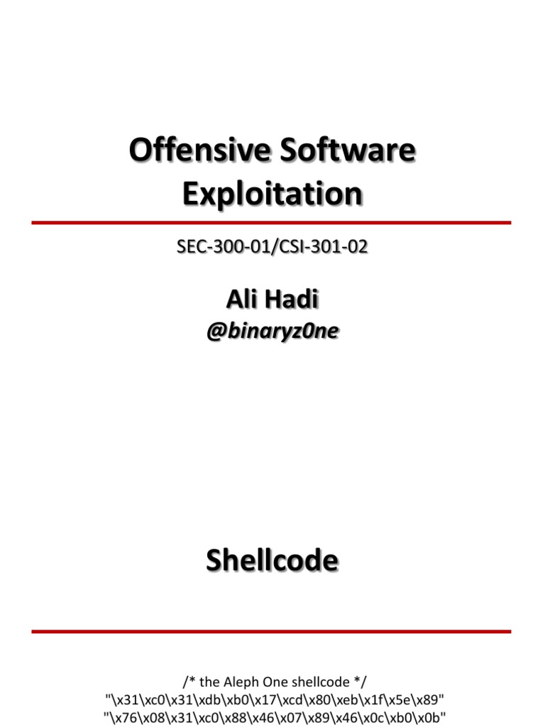 Module 04b Shellcode Pdf Computer Architecture Operating System Technology
