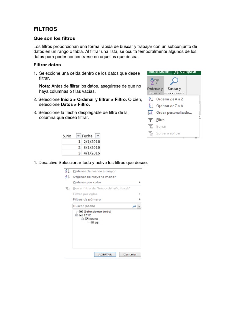 Guía Completa de Filtros de Datos | PDF | Hoja de cálculo | Informática