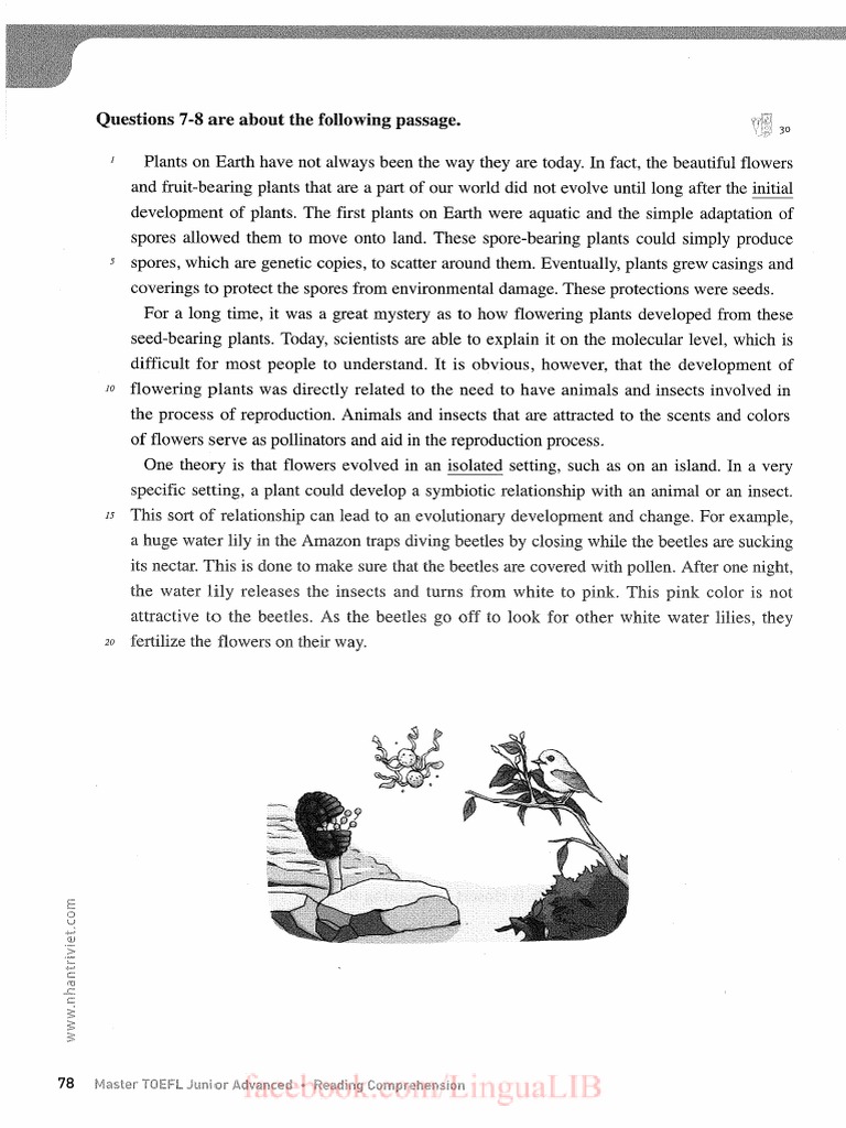 Master TOEFL Jun Adv B2 Reading - Split | PDF