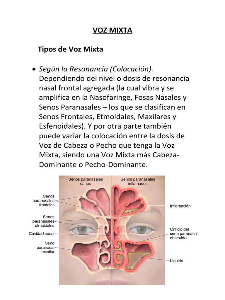 Voz Mixta | PDF | Sonido | Boca