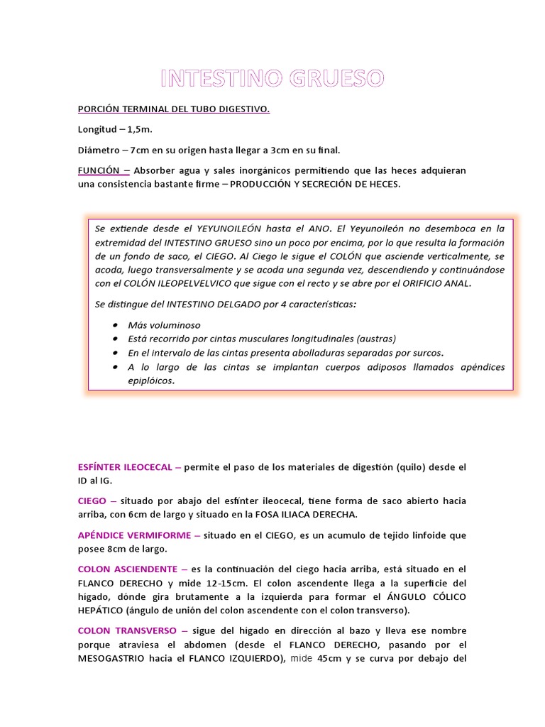 COLON Y RECTO - AyH | PDF | Intestino grueso | Recto