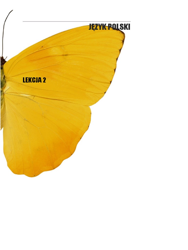Lekcja 2 | PDF