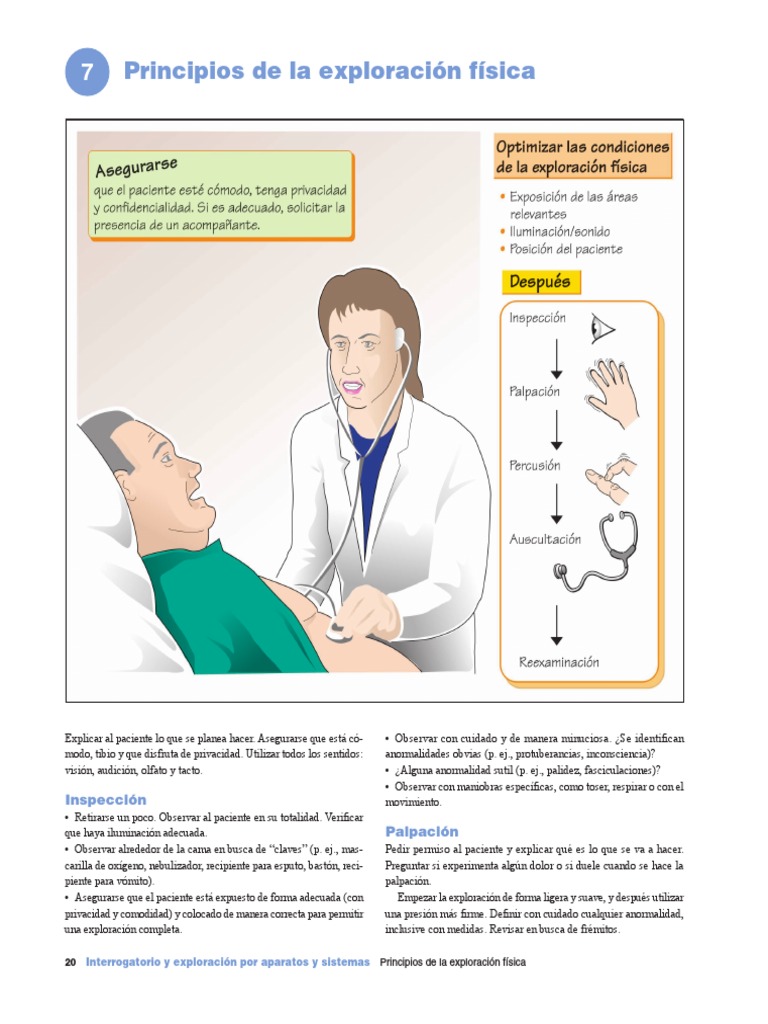 Principios de La Exploracion Fisica | PDF | Medicina CLINICA | Especialidades Medicas