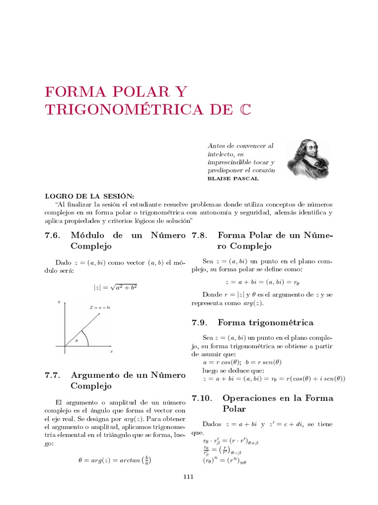 Forma Polar y Trigonométrica de Números Complejos | PDF | Número ...