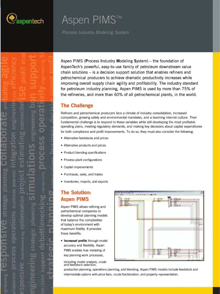 Aspen PIMS Detailed by Each Program | PDF | Databases | Spreadsheet