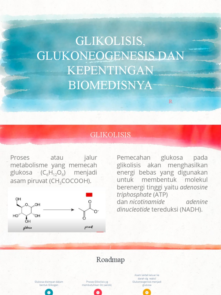 Tugas Glikolisis Dan Glukoneogenesis | PDF
