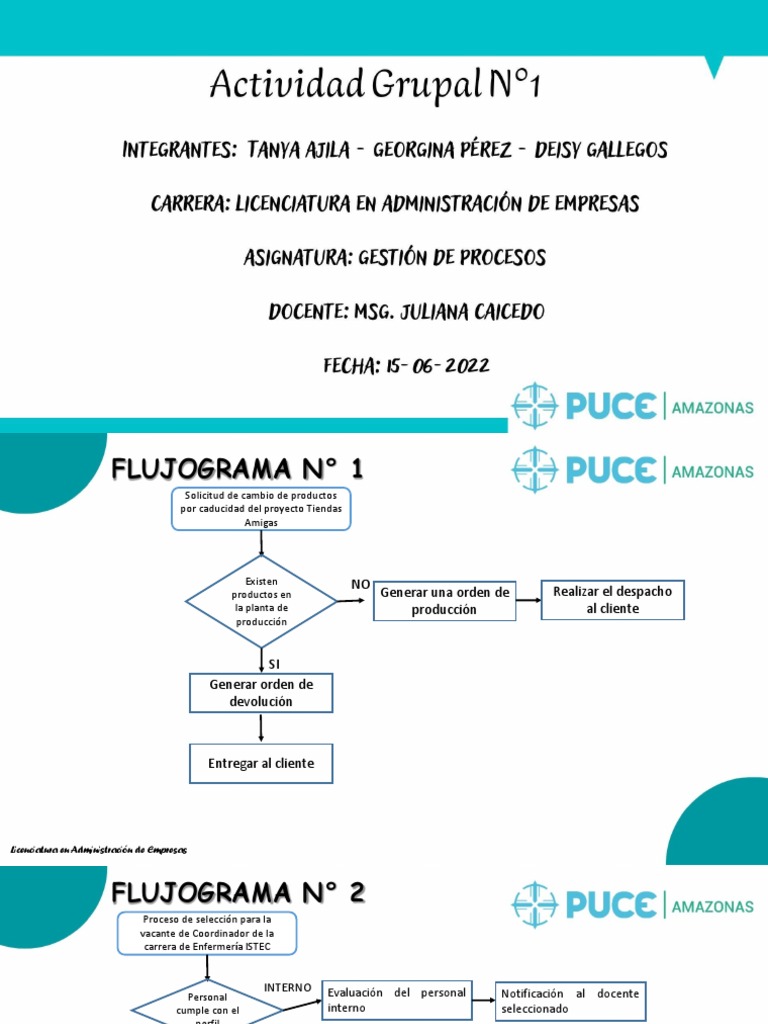 Taller Grupal - Flujogramas | PDF | Business