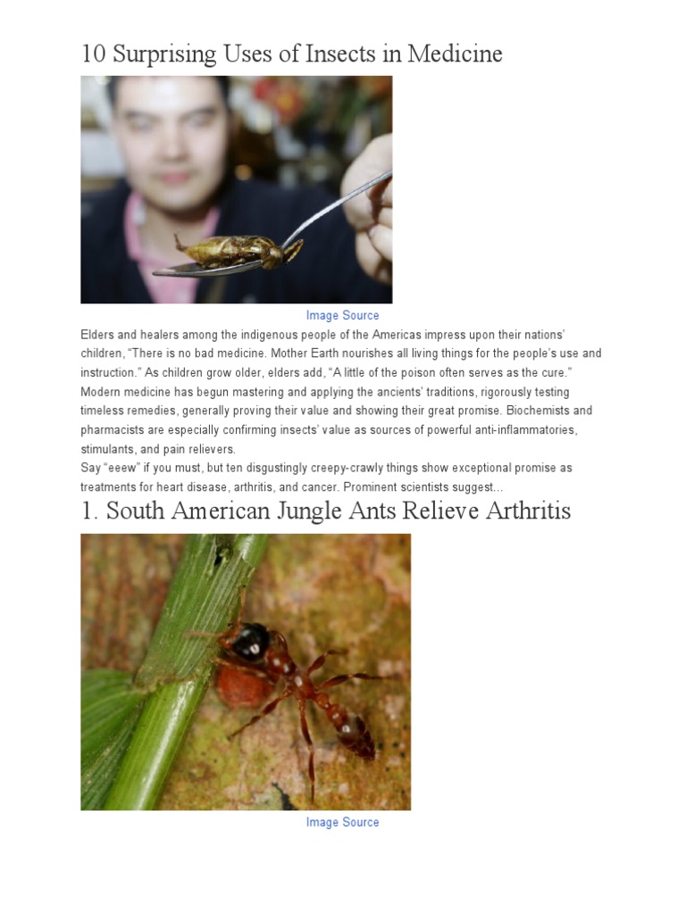 10 Surprising Uses of Insects in Medicine | PDF | Arthritis | Wound