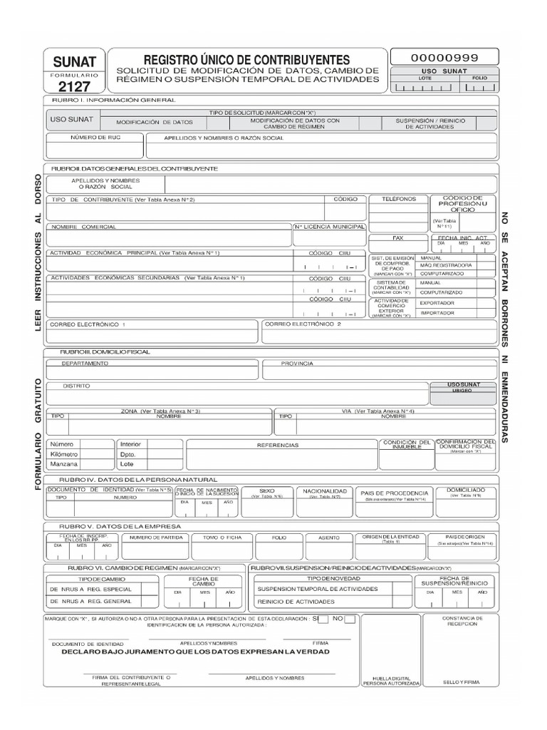 Formato de La Sunat | PDF
