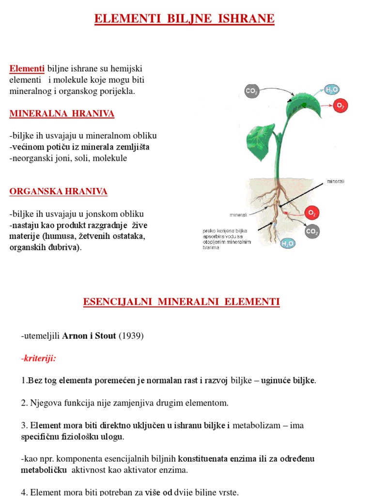 Biogeni Hemijski Elementi | PDF