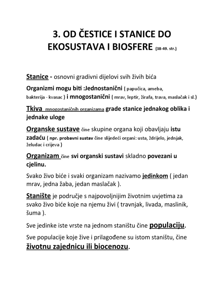 Od Čestice I Stanice | PDF