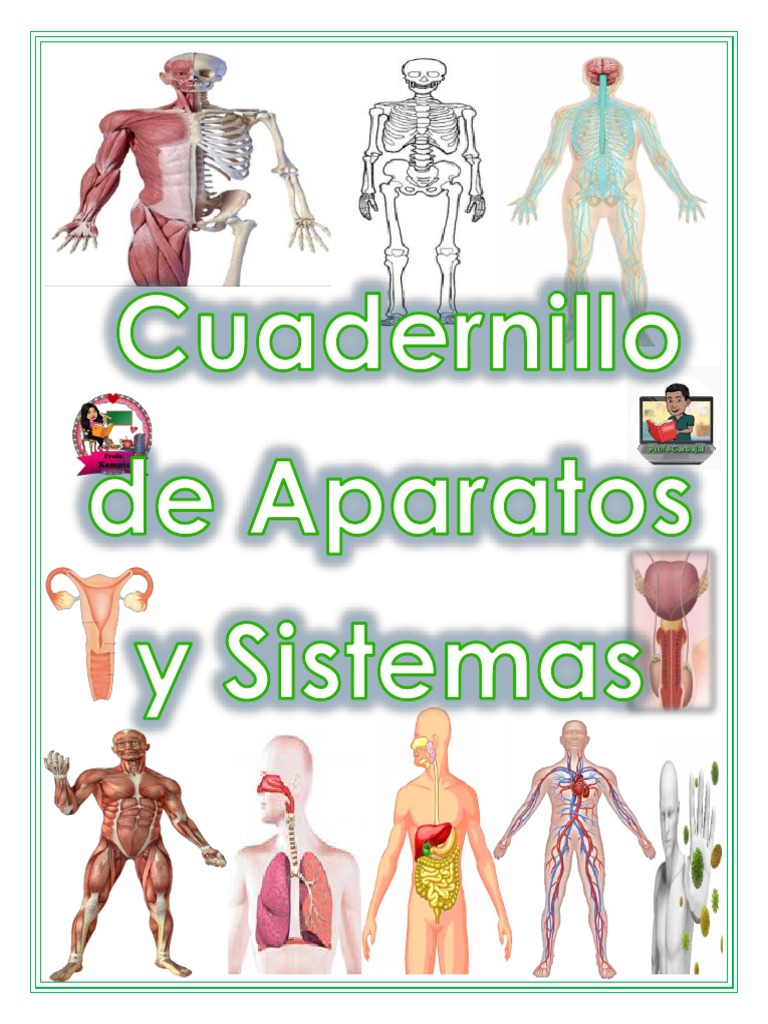 Cuadernillo Aparatos y Sistemas-Profa Kempis | PDF | Sistema inmune | Linfocitos
