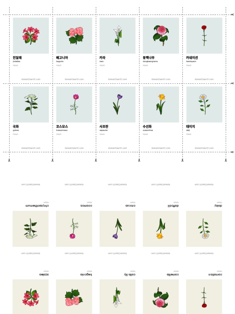 Korean Flower Names List | PDF | Horticulture | Botany