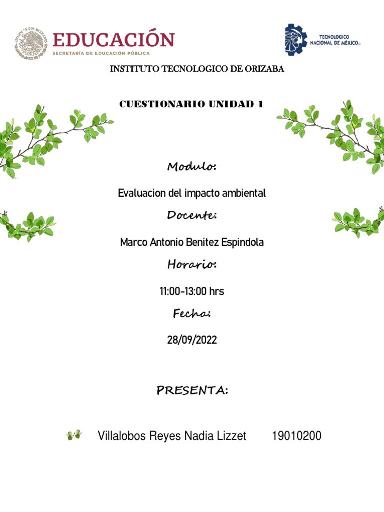 CUESTIONARIO UNIDAD 1-Villalobos Reyes Nadia L. | PDF | Arte