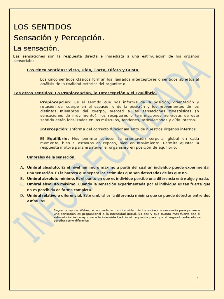 Los Sentidos Sensasion y Persepcion | PDF | Percepción | Sentidos
