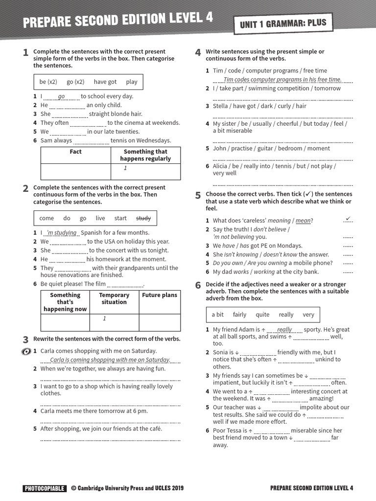 PREPARE 4 Grammar Plus Unit 01 | PDF | Linguistic Typology | Language Mechanics