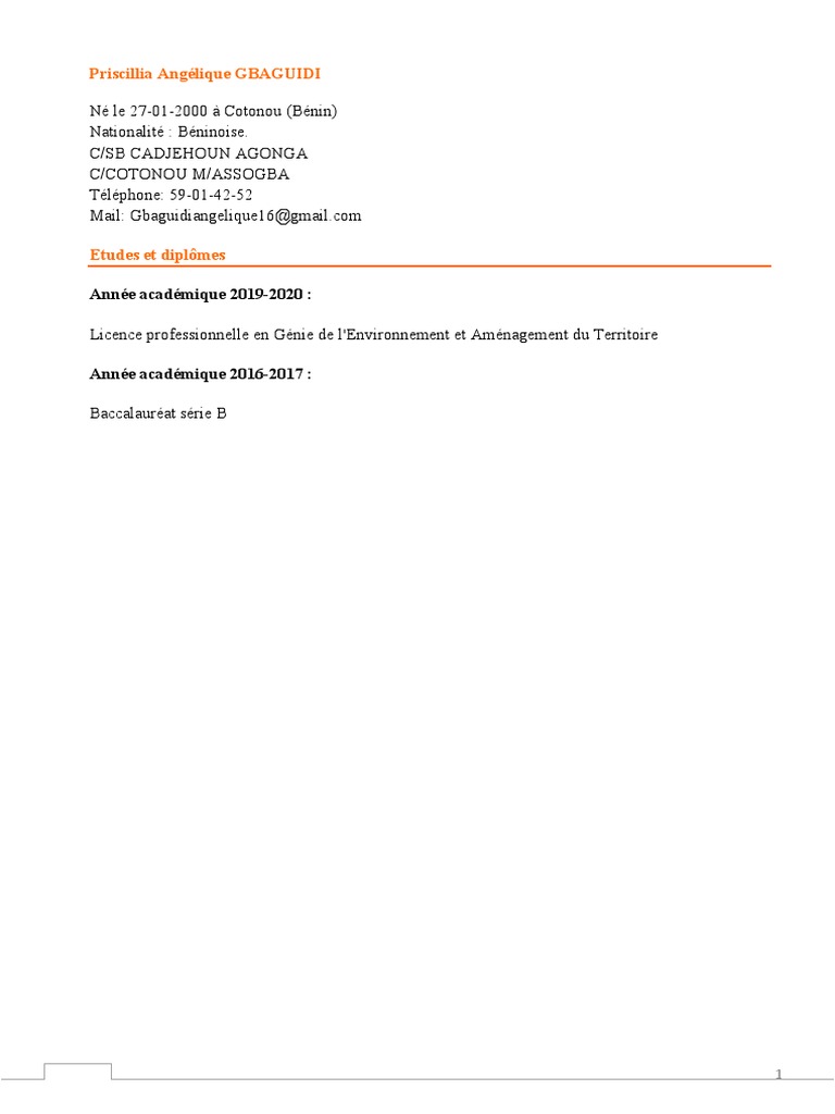 CV 27 | PDF | Informatique