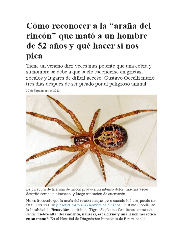 ARAÑA | PDF | Araña | Medicina
