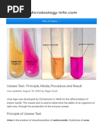 AUB - Intro To Urinalysis | PDF | Urine | Urea