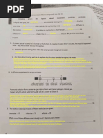Myp 1 Mathematics: Summative Assessment | PDF | Mathematics | Elementary Mathematics