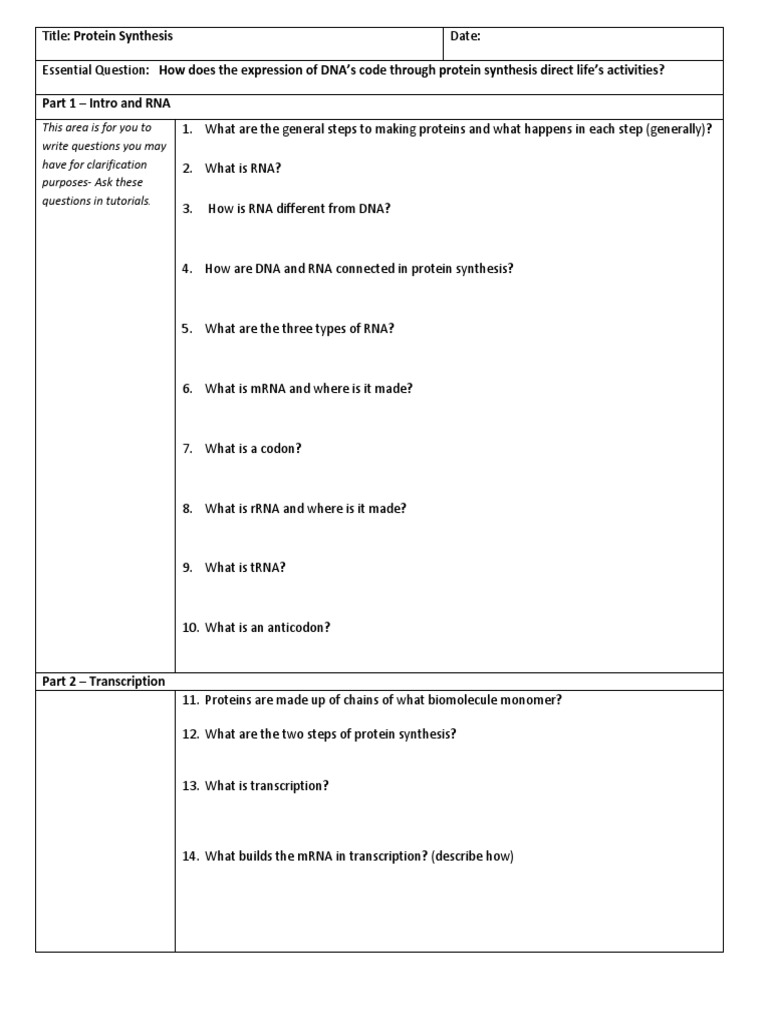 Protein Synthesis notes sheet 20-21 | PDF | Translation (Biology) | Rna