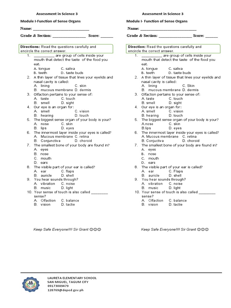 Assessment Test in Science 3.1 | PDF | Senses | Skin