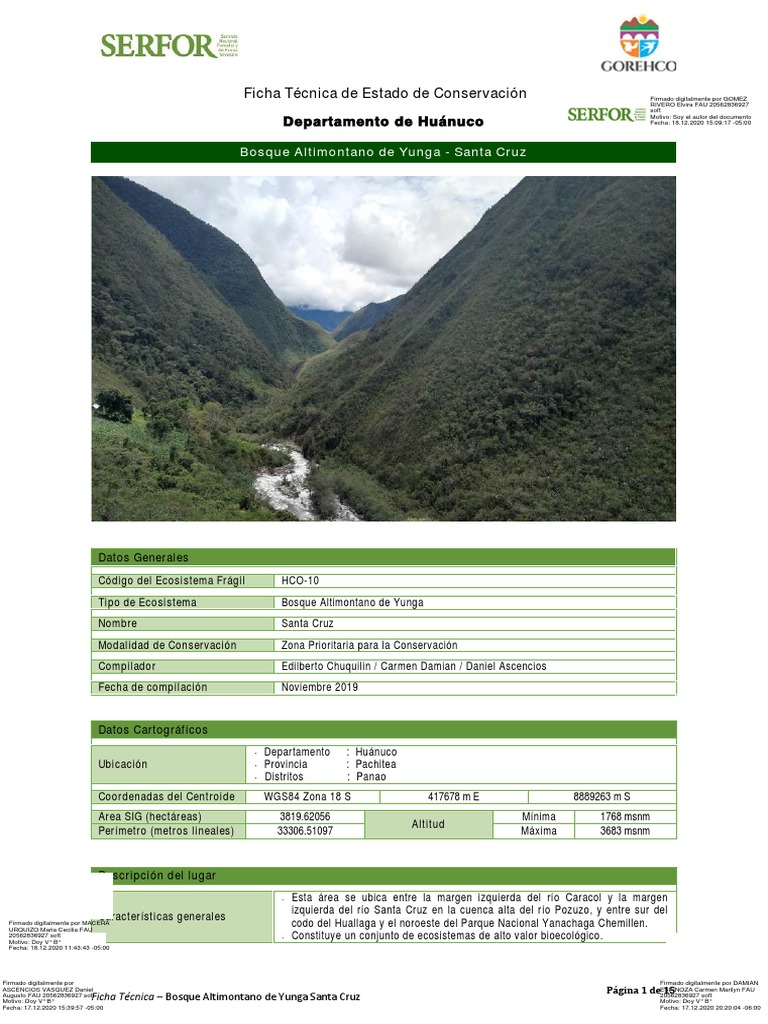 FT-HCO-10 Bosque Altimontano de Yunga - Santa Cruz | PDF | Los bosques ...