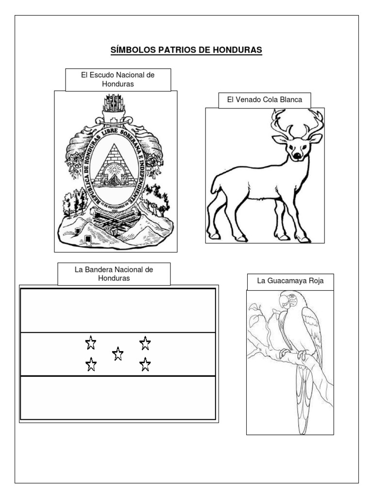 Símbolos Patrios de Honduras para Colorear | PDF