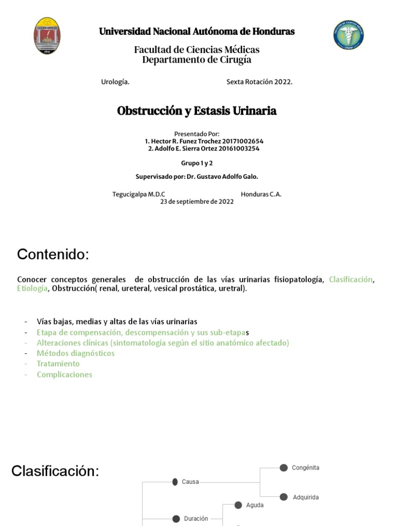 Obstrucción y Estasis Urinaria | PDF | Vejiga urinaria | Sistema urinario