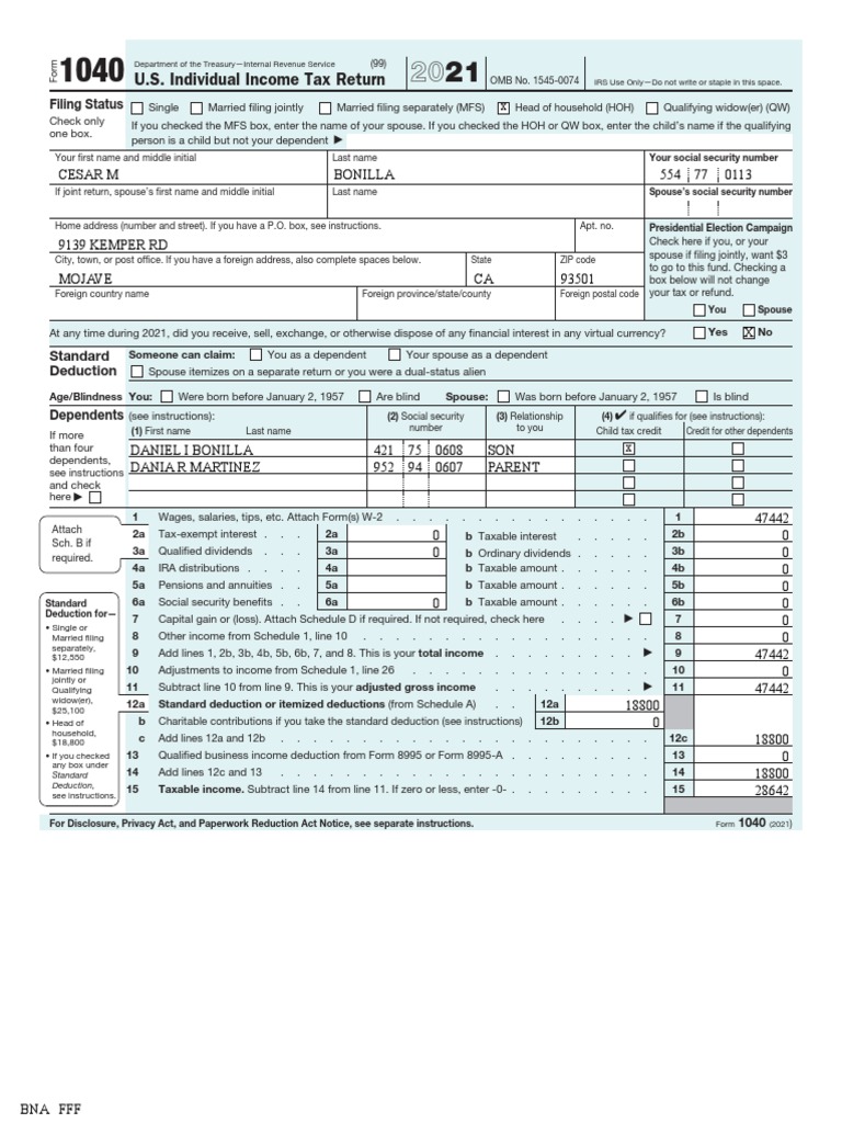 U.S. Individual Income Tax Return: Filing Status | PDF | Irs Tax Forms ...