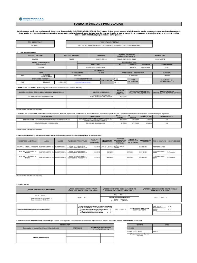 Formato de Postulacion Electro Puno | PDF | Informática
