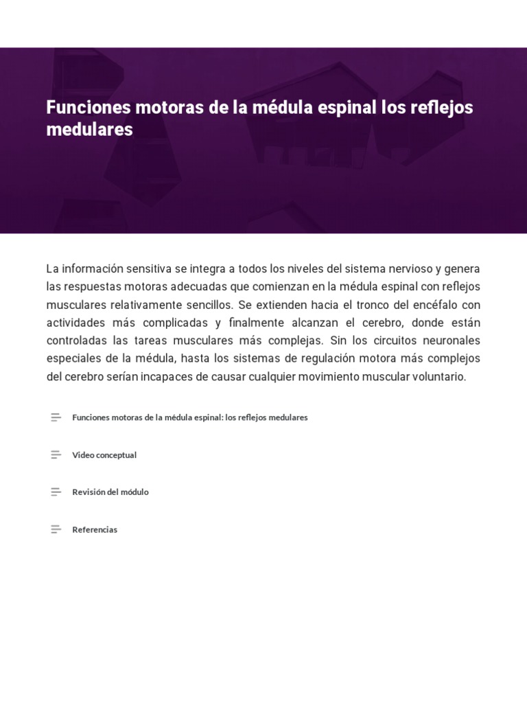 Funciones Motoras | PDF | Neurona motora | Materia gris