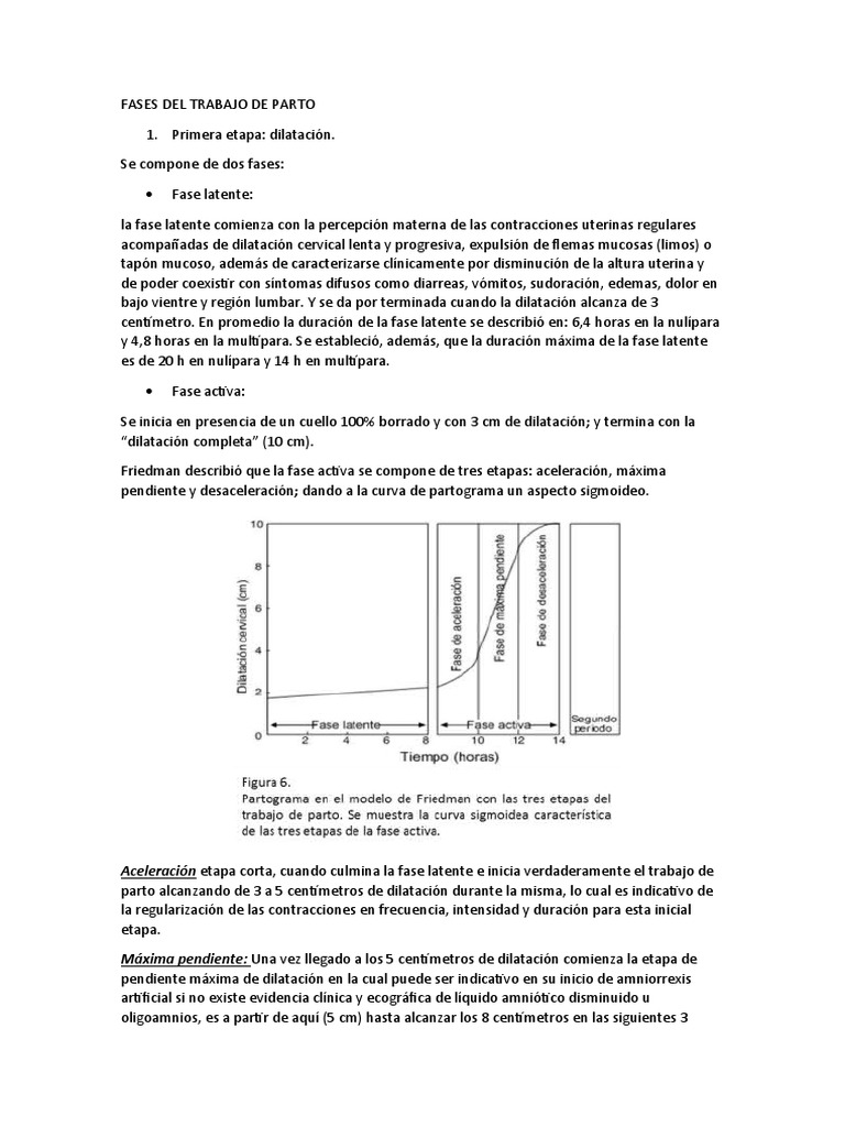 Fases Del Trabajo de Parto | PDF | Parto | Especialidades Medicas