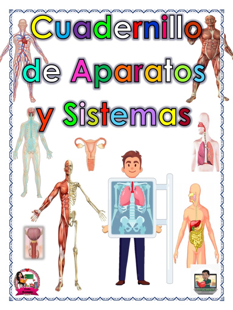 Cuadernillo de Aparatos y Sistemas Profa Kempis | PDF | Sistema inmune | Sistema urinario