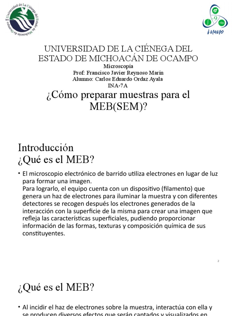 ¿Cómo Preparar Una Muestra para El Microscopio Electrónico de Barrido ...