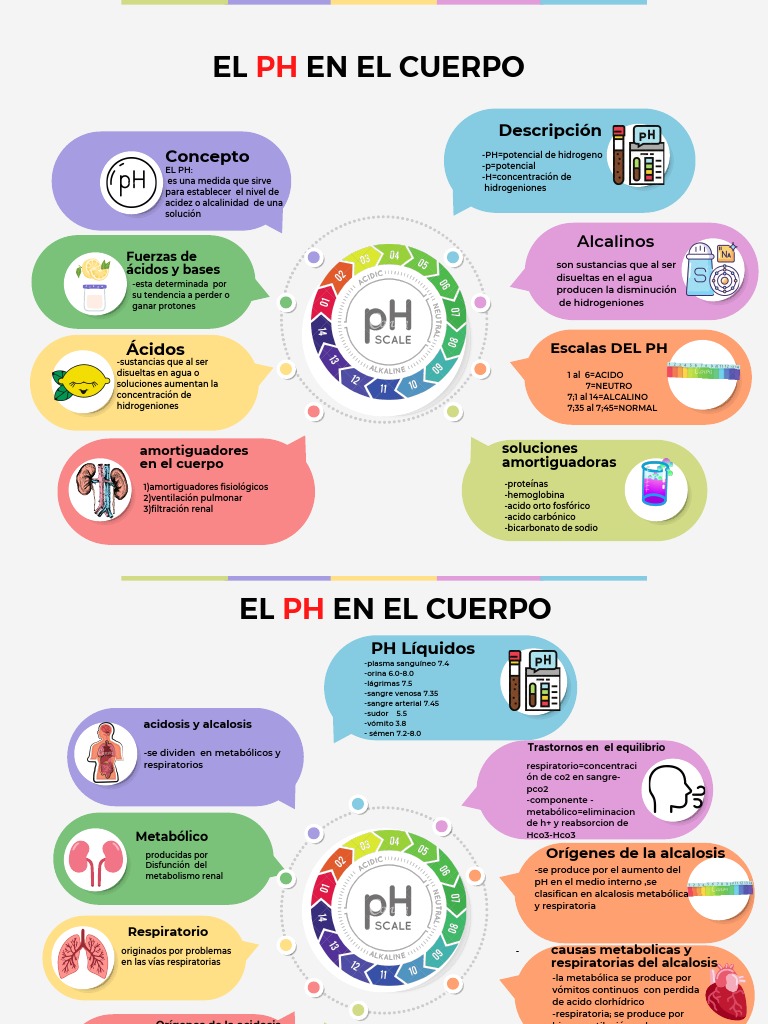 Equilibrio del pH en el Cuerpo Humano | PDF | Ácido | Química