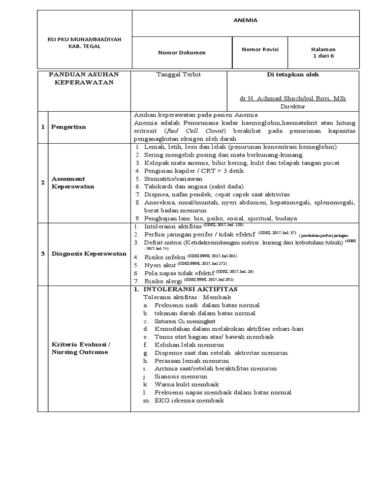 Asuhan Keperawatan Anemia SDKI | PDF