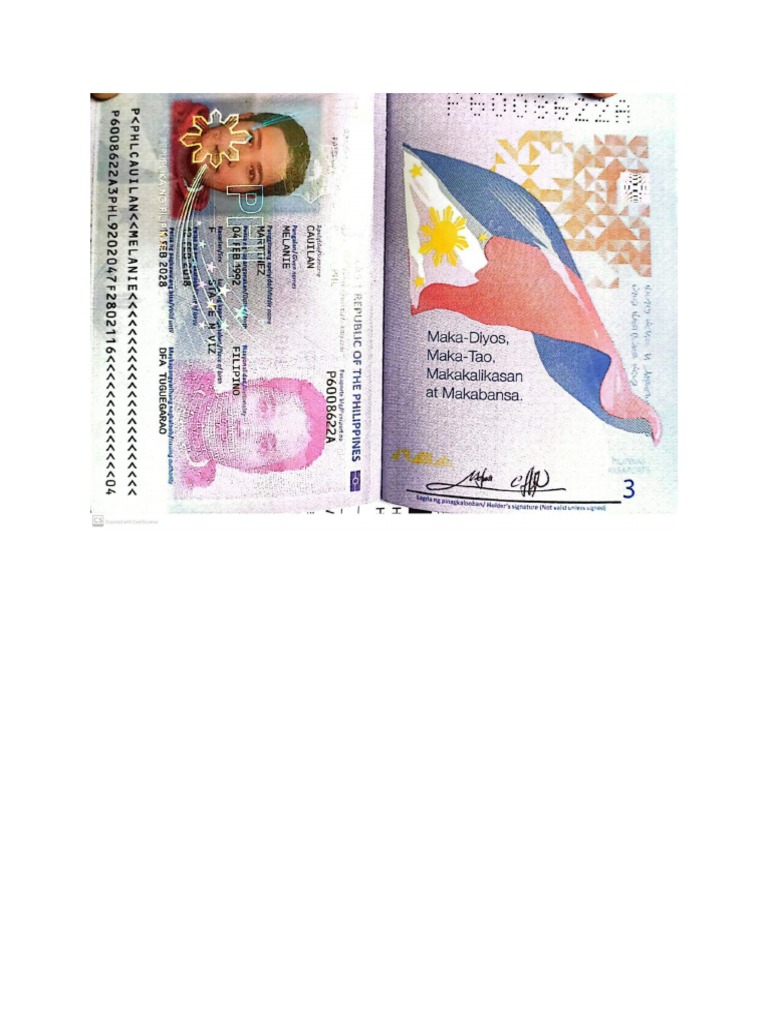 Passport | PDF
