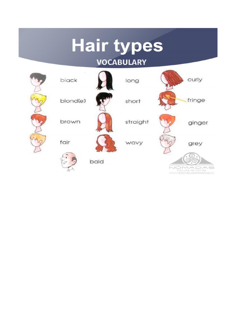 Types of Hair | PDF