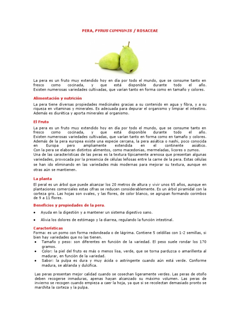 Pera Como Planta Medicinal | PDF | Pera | Comida y bebida